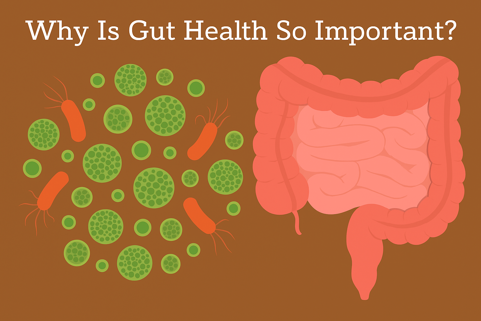 Honey Prebiotics & Friendly Bacteria: How Raw Honey Supports Gut Health ...